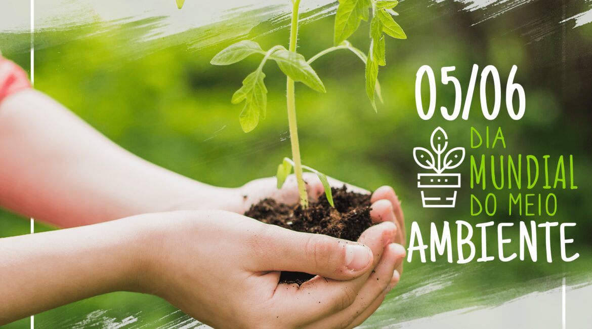 Feliz Dia Mundial Do Meio Ambiente Grupo Pianna